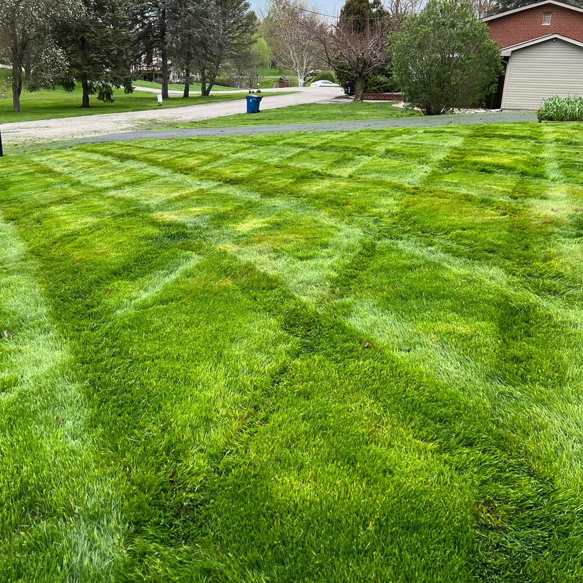 Al's Lawn Care LLC | (724) 761-4686